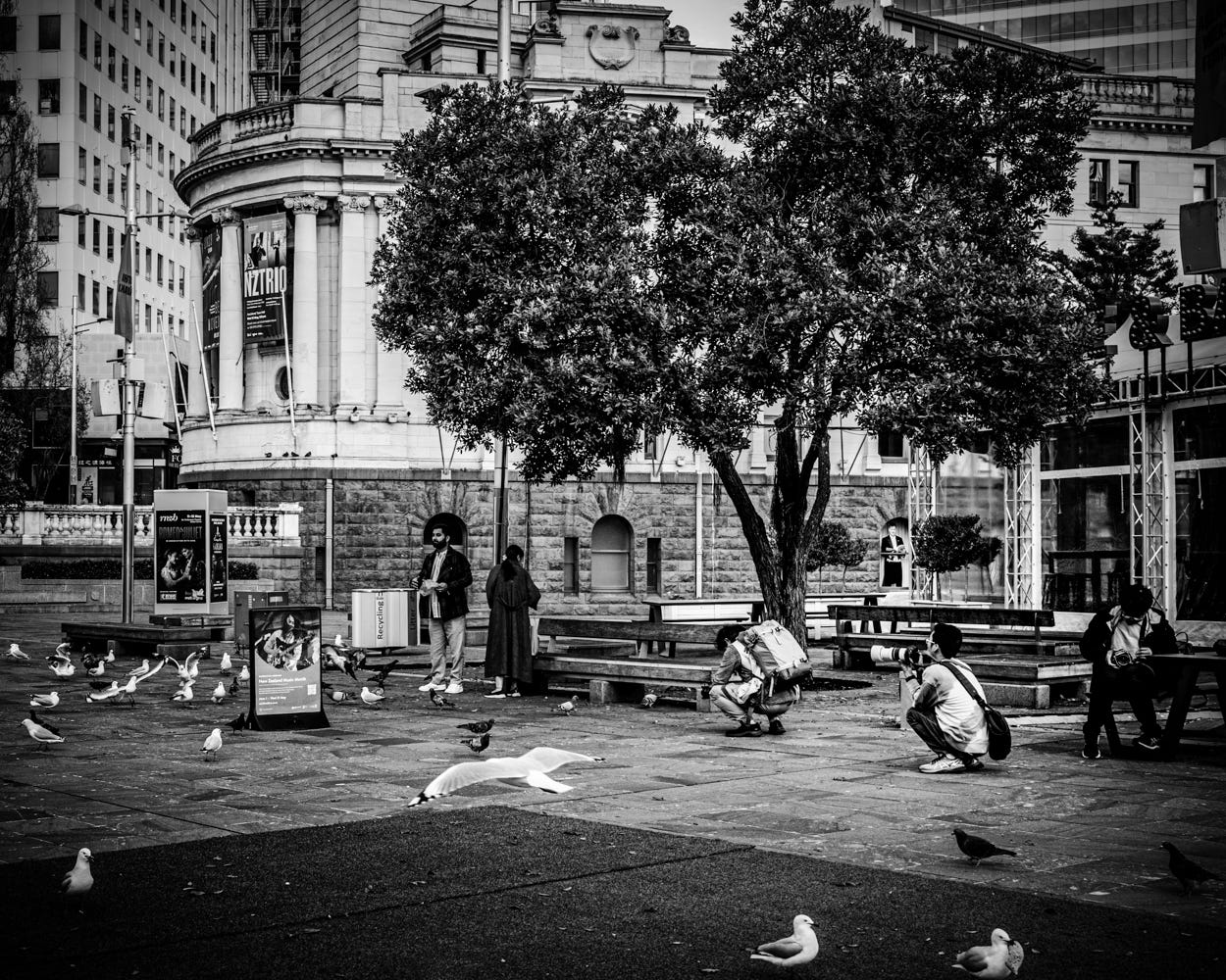 NZ Visual Diary - entry 178 - by Rich Greissman