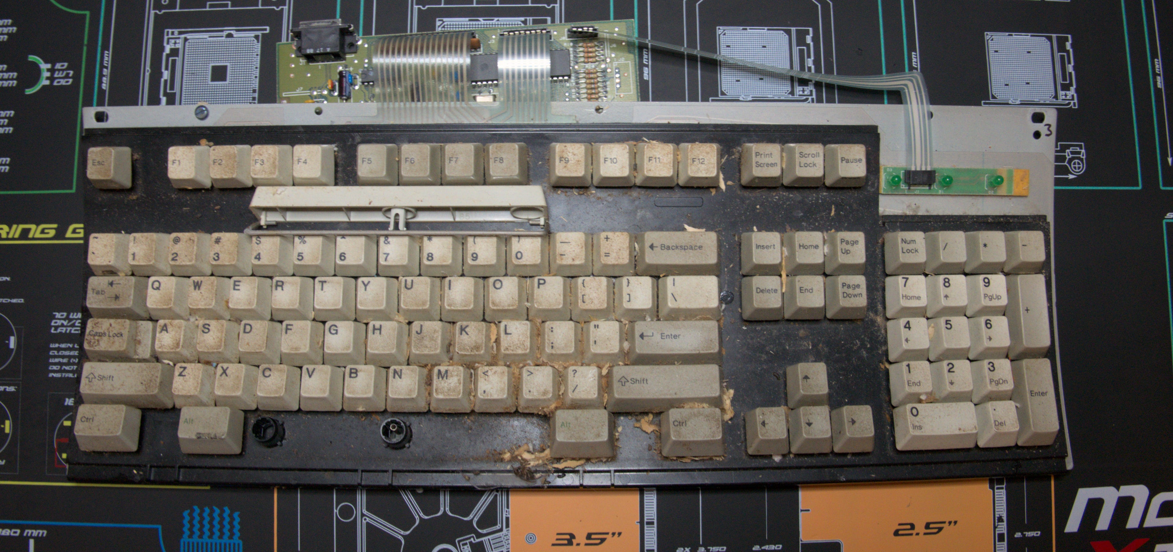 Ultimate Guide to Bolt Modding the IBM Model M Keyboard