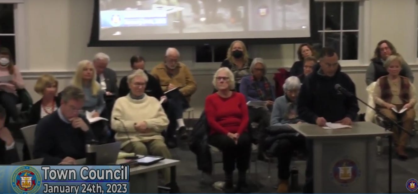 Lake Nippenicket: Bridgewater Citizens Achieve Victories