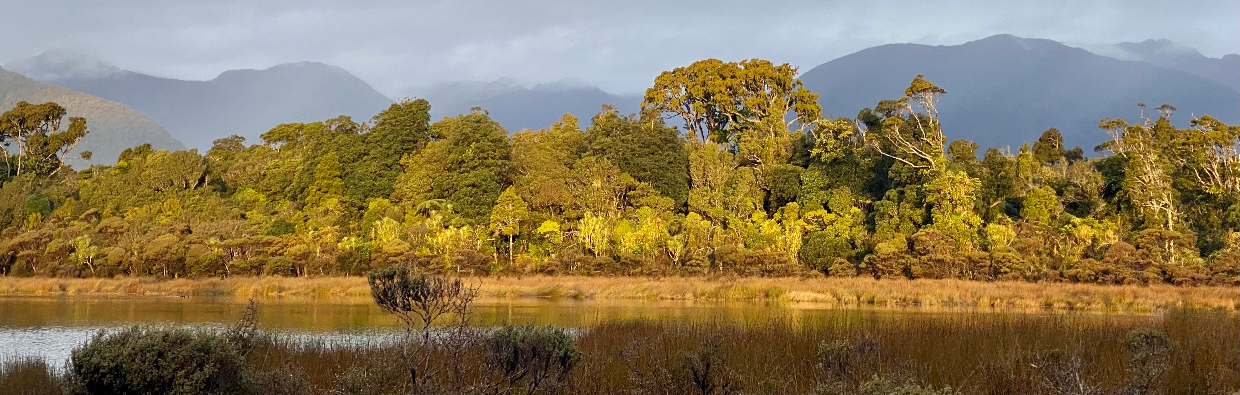 So you want to change the world🍋 - by Dave Heatley