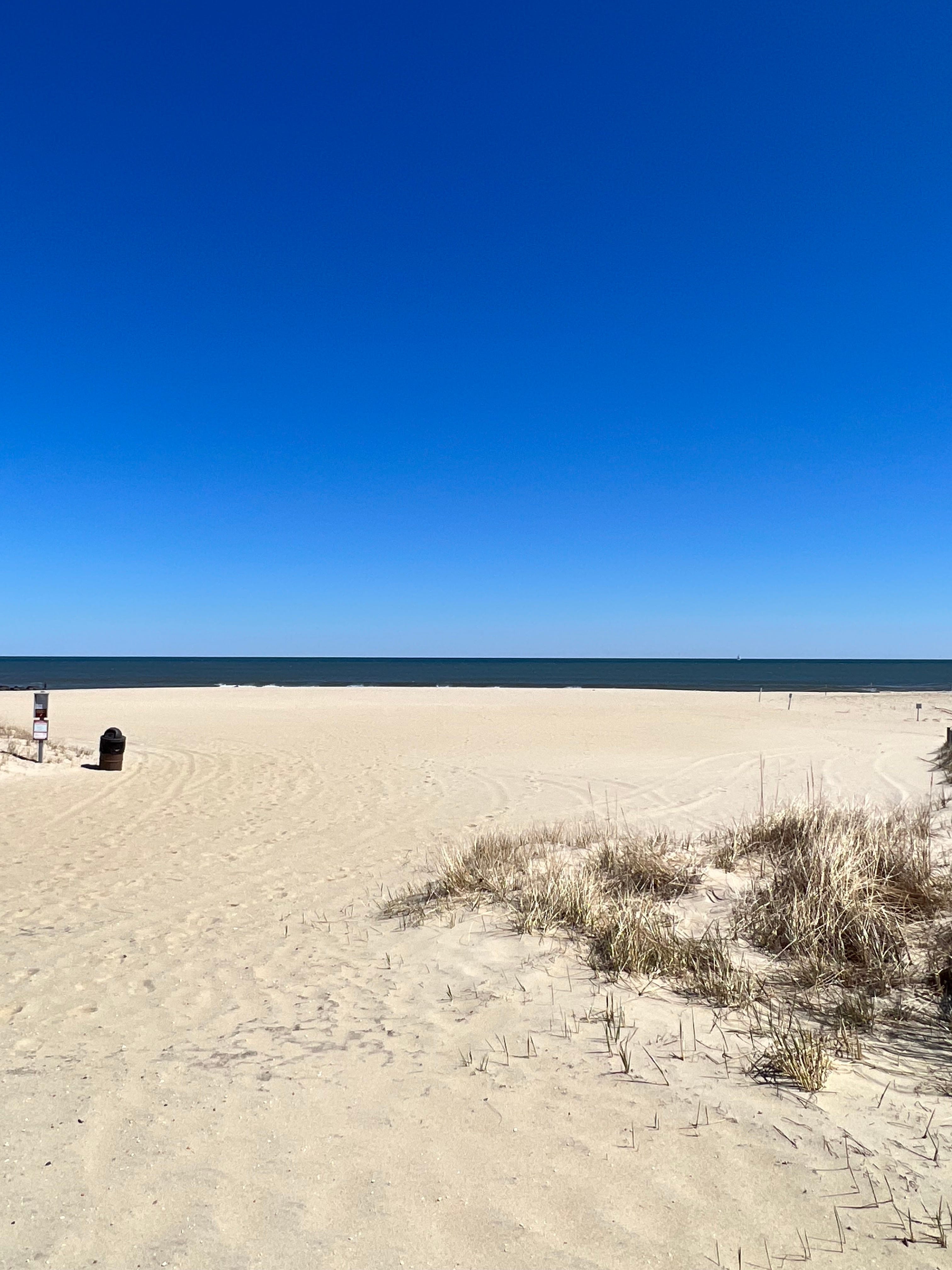 The "Seven Presidents" and the New Jersey Shore