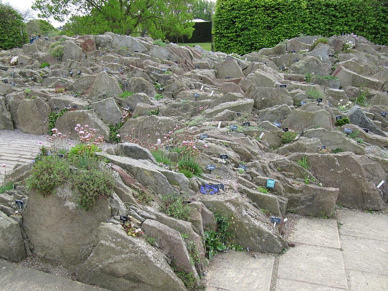 Crevice Gardening - by Chris Bell - Colwynn Garden Design