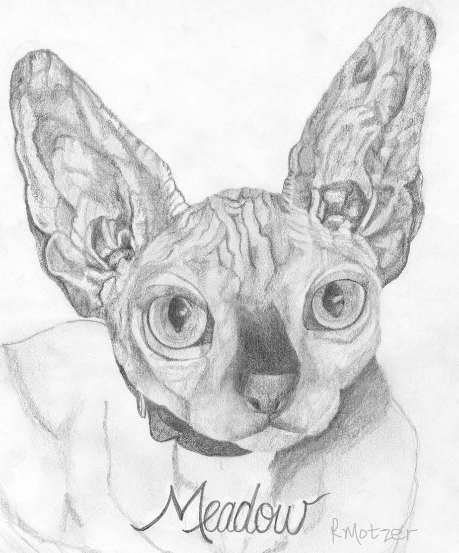 Restoring Soils and Souls to Uplift, Enlighten and Help Heal