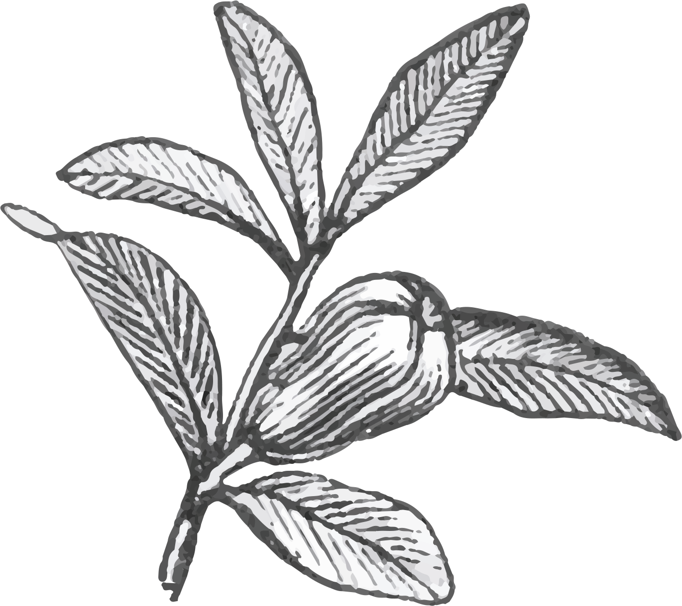 Guildmembers - by Kristin Haakenson - Signs + Seasons