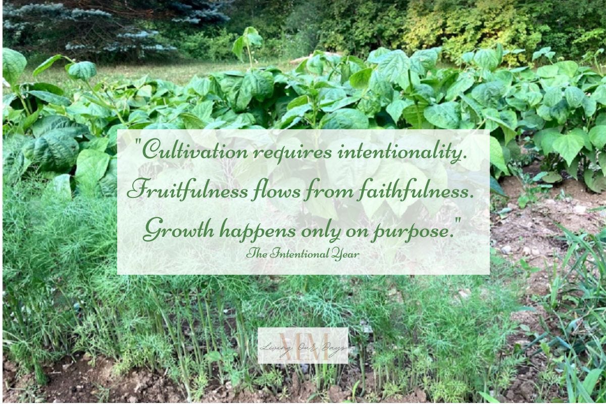 Gardening... and Other Acts of Faith