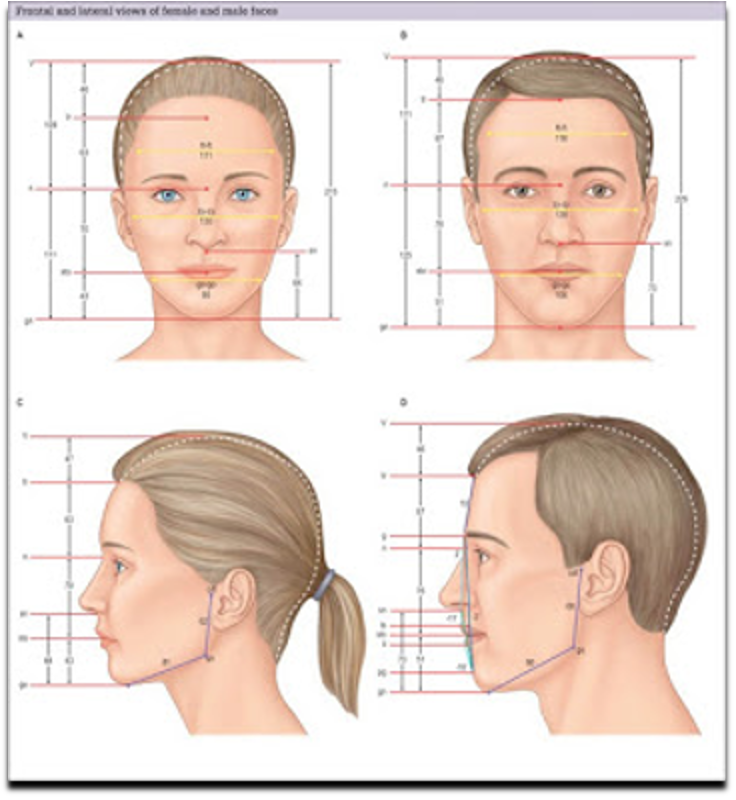 Beware the Univariate Fallacy - by Colin Wright