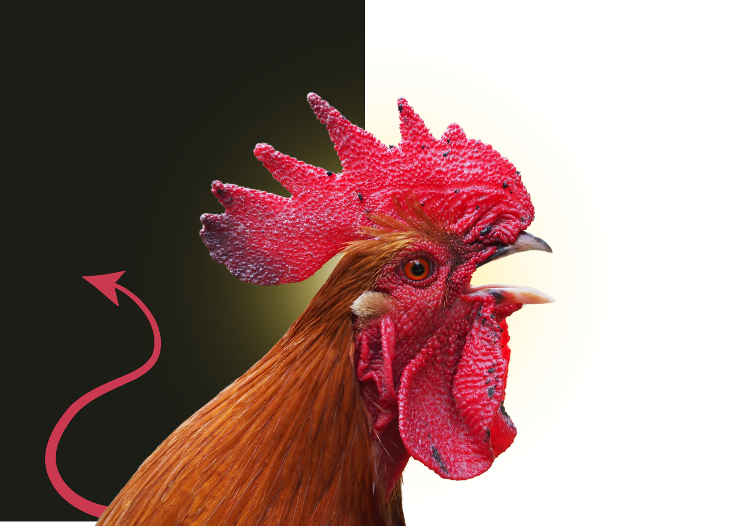 Moral Relativism, Roosters, and the Road to Hell