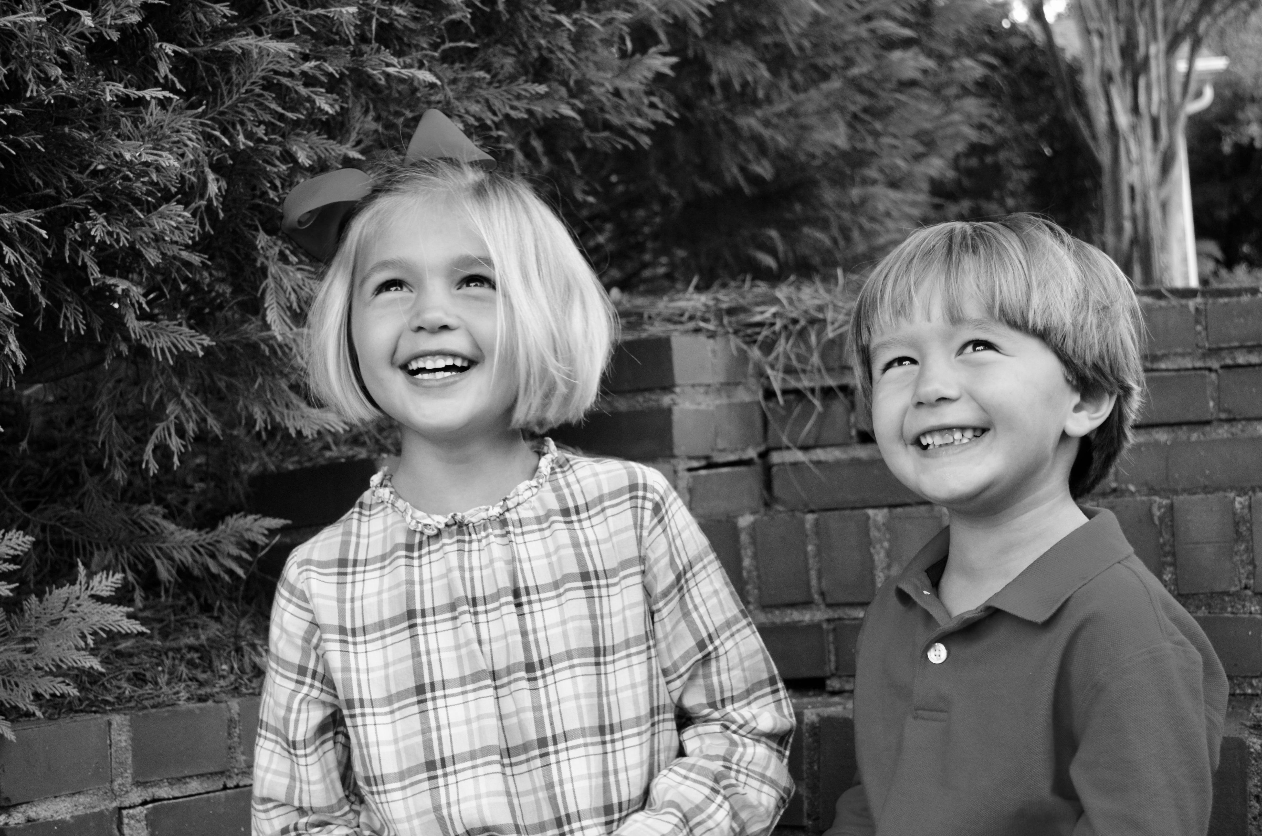 Anne Hassold Harris | Substack