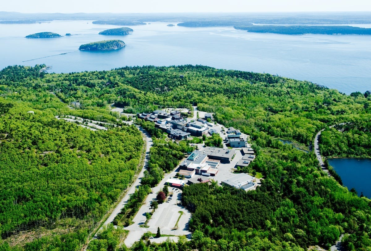 Origins of the Lab Mouse - by Asimov Press and Alex Telford