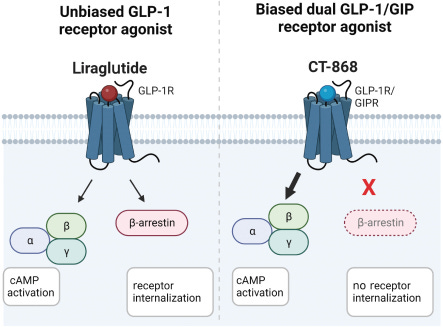 BIOTECH (144) Carmot Therapeutics: Chemotype Evolution (CE) Platform to ...
