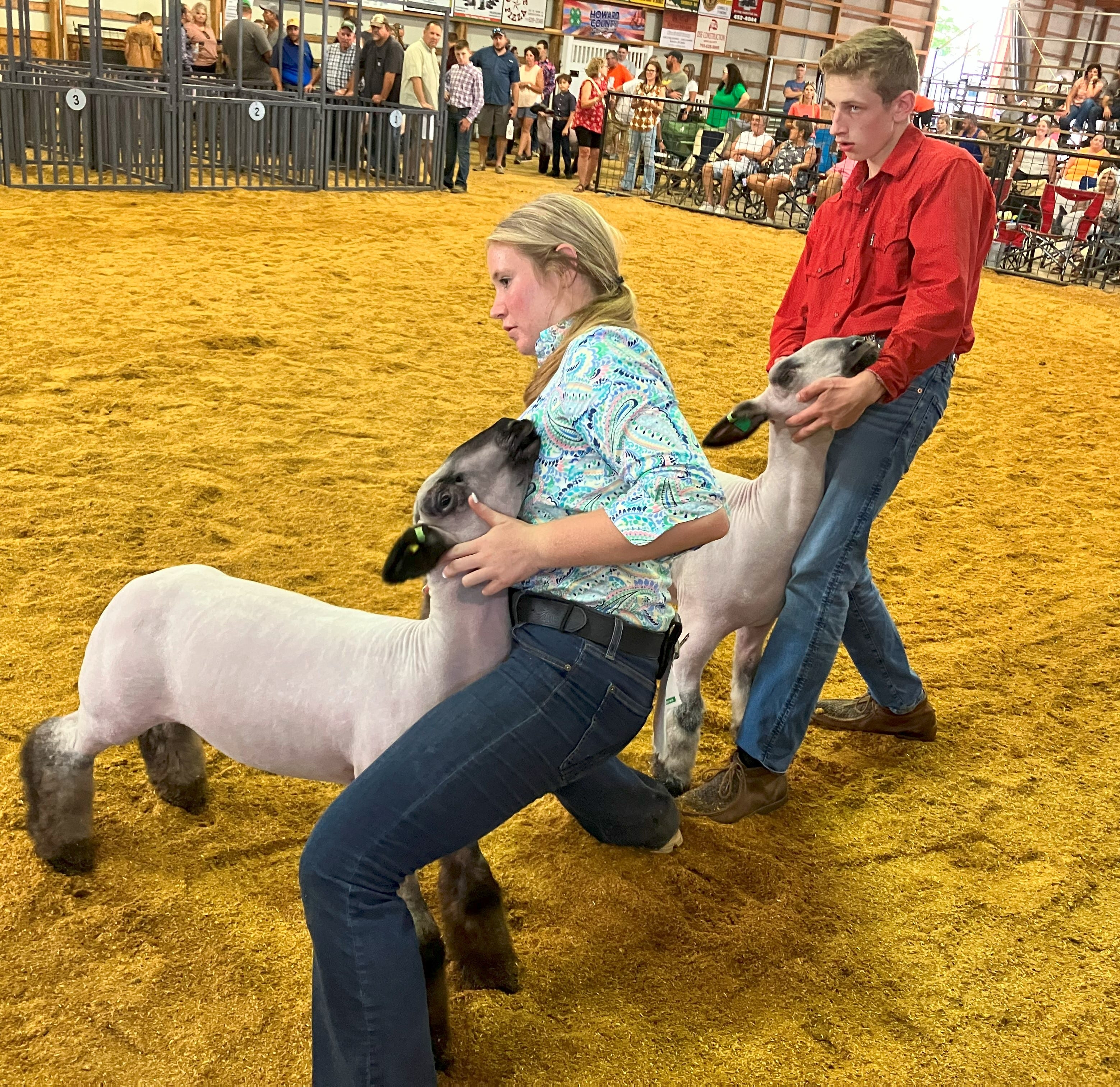 Howard County 4H Fair enters final day - by Patrick Munsey
