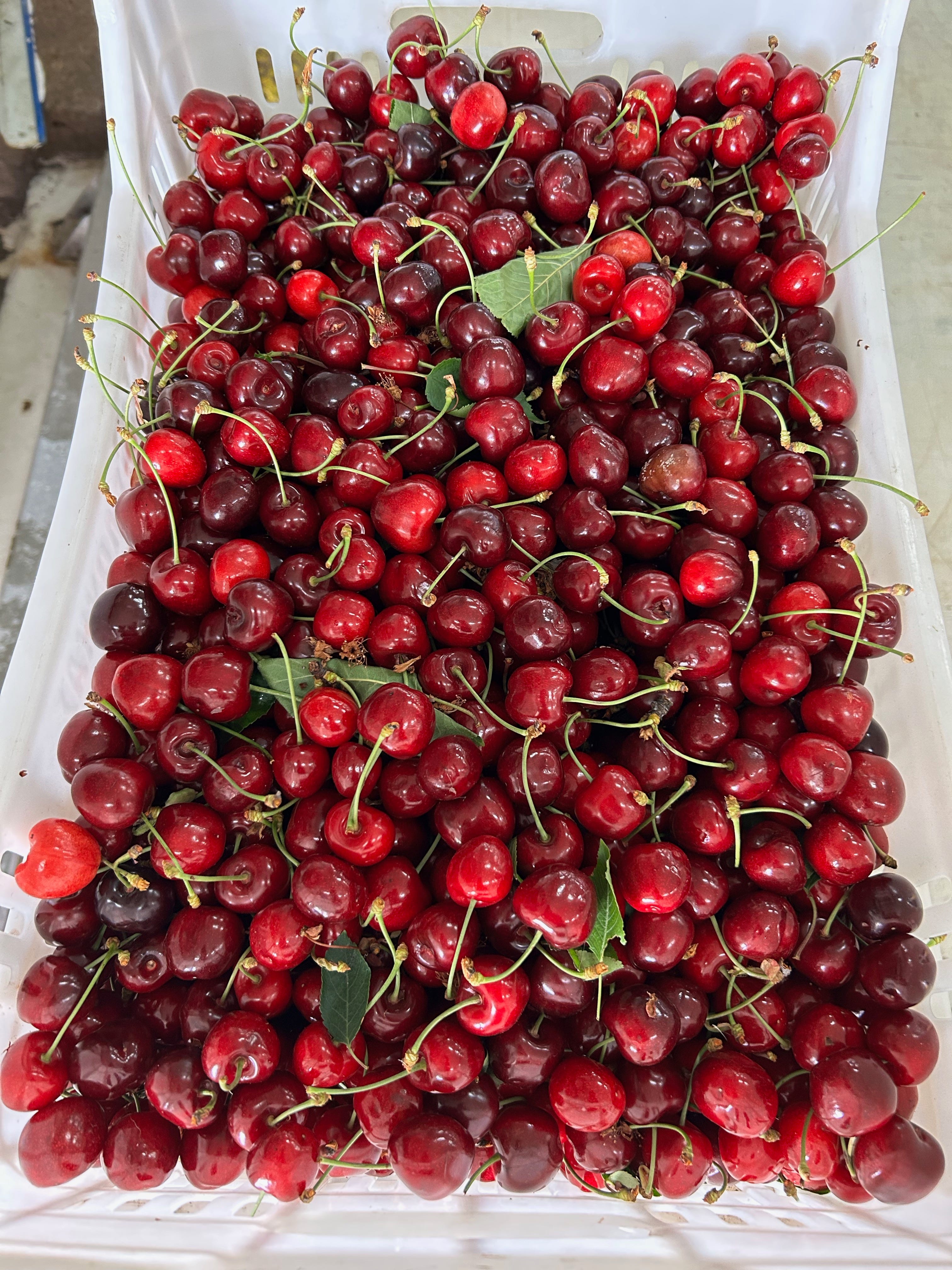 Thoughts on Greek gastronomy - by Lesley Chesterman