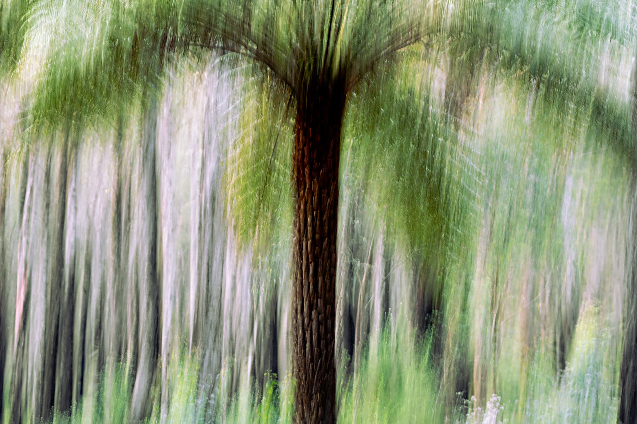 2024 in Review - by James Hider - A Photography Journey