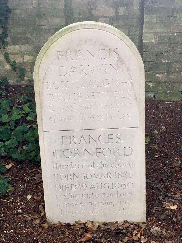 The Ascension Parish burial ground - by Ann Kennedy Smith