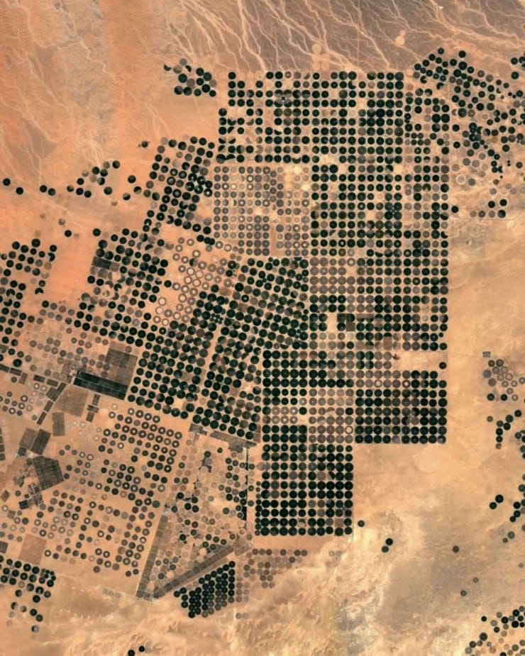 Saudi Arabia Irrigation - Daily Overview