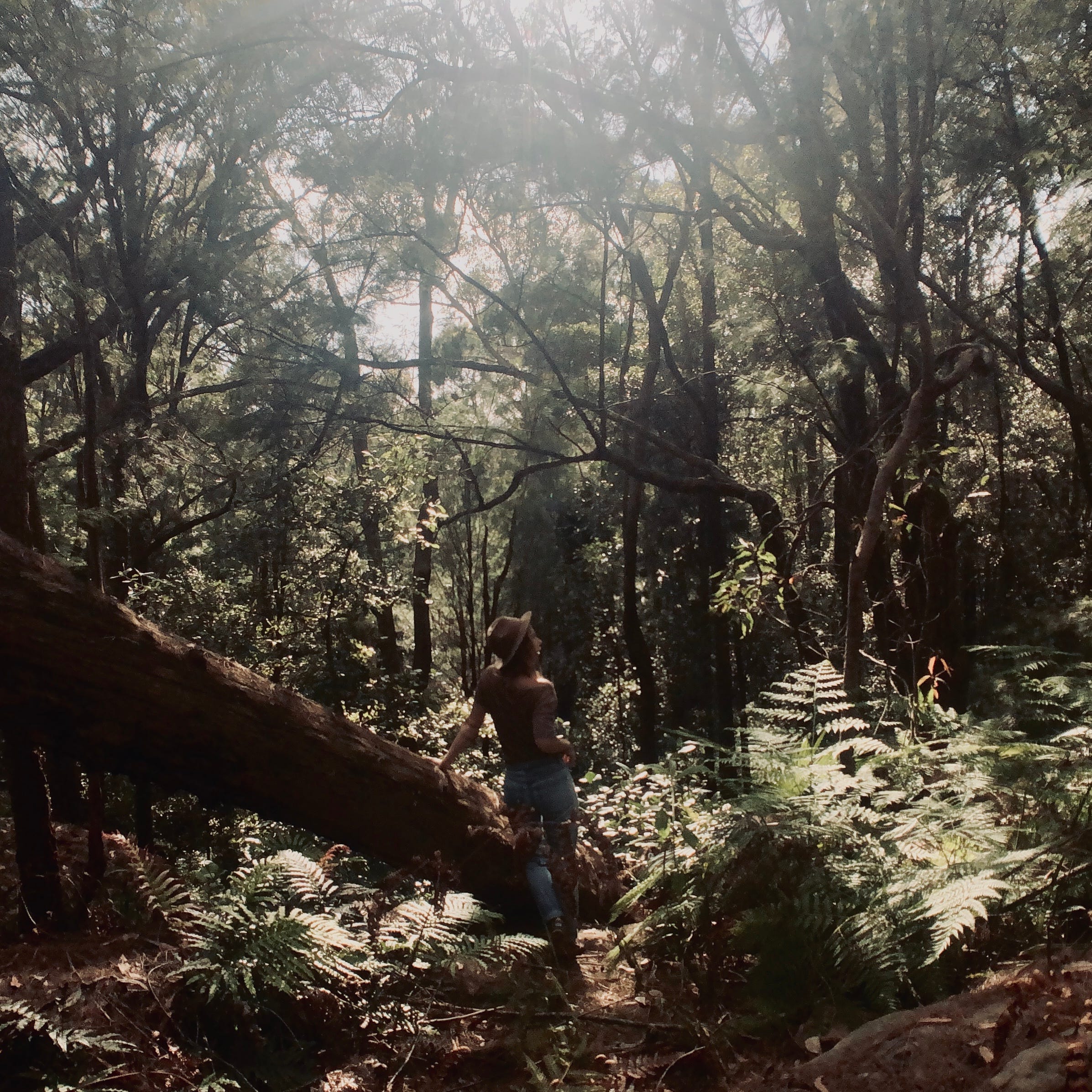 On the sky within you - Sez Kristiansen