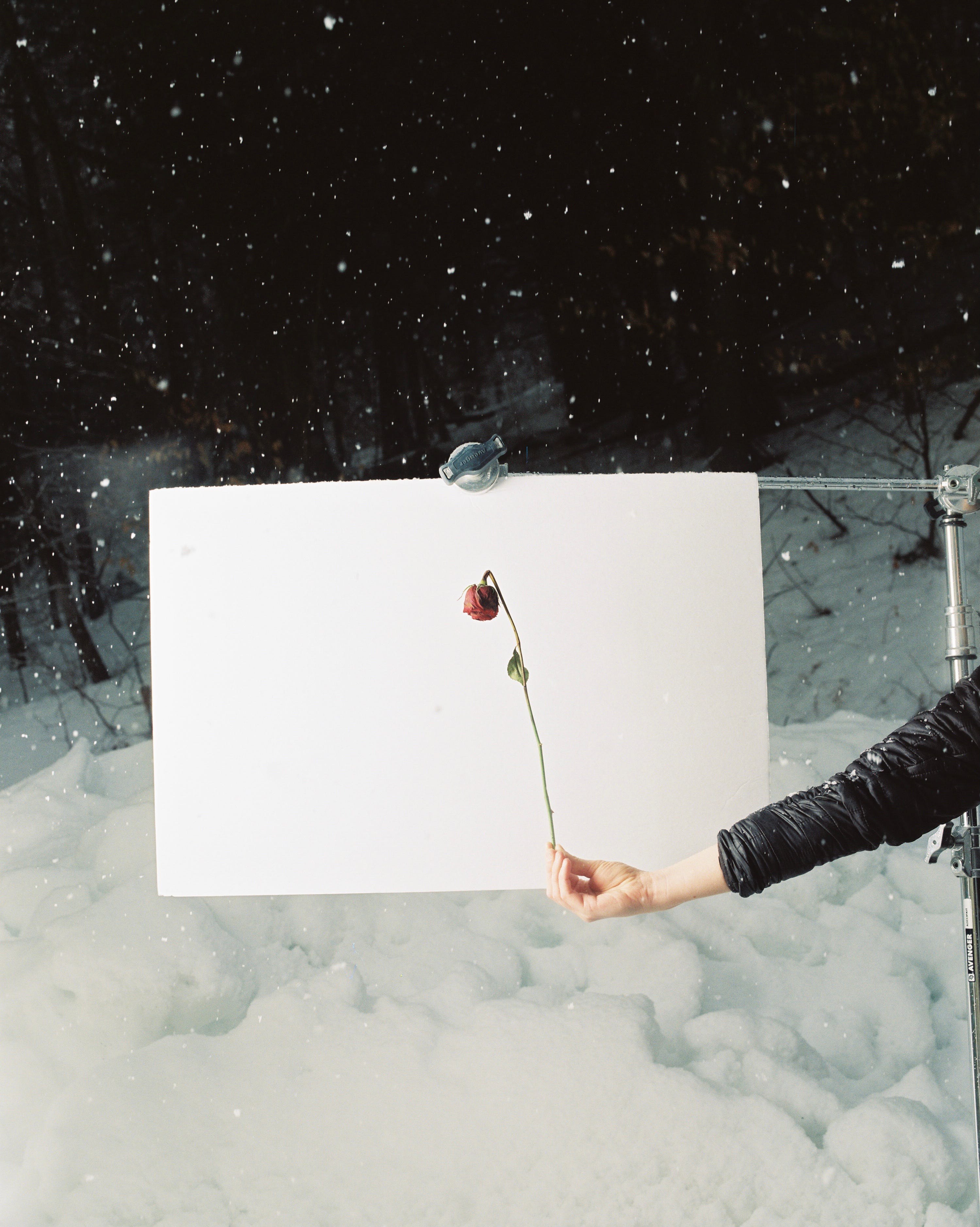 ️ Ten Winter Pictures (and a seasonal zine)