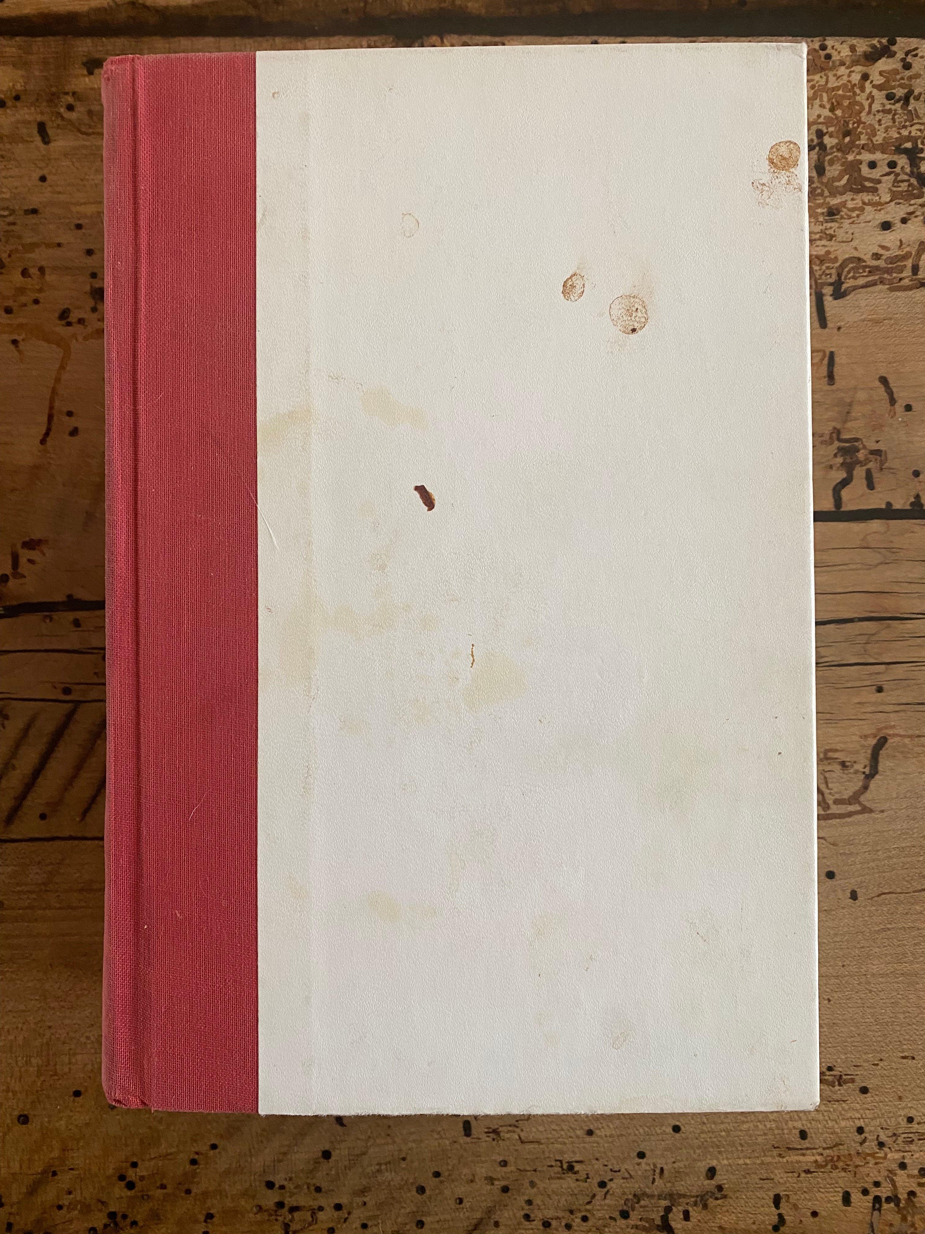 Spotlight: An interview with Jean Anderson