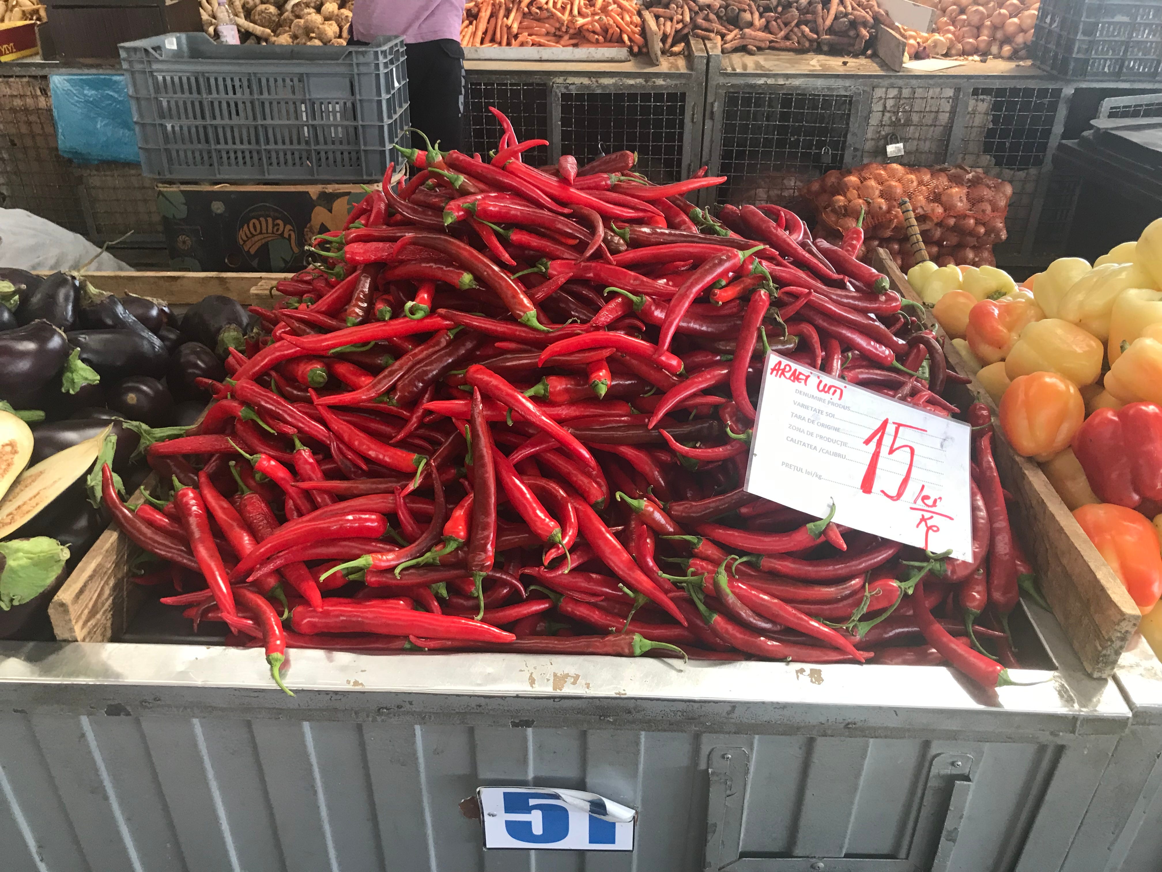 Hinternet Essay Prize Competition