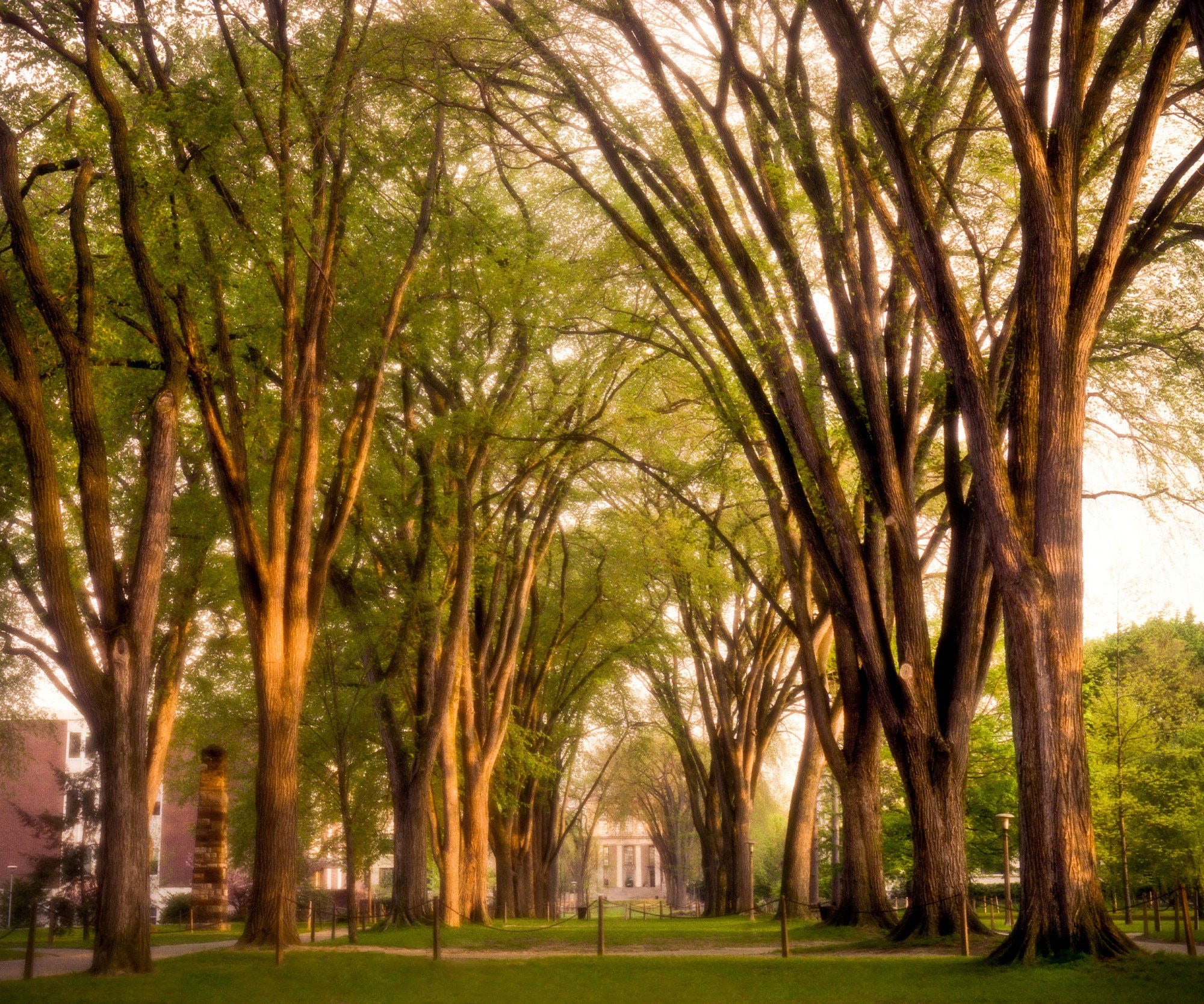 Post #1 - by Everett Roy - Personal Substack