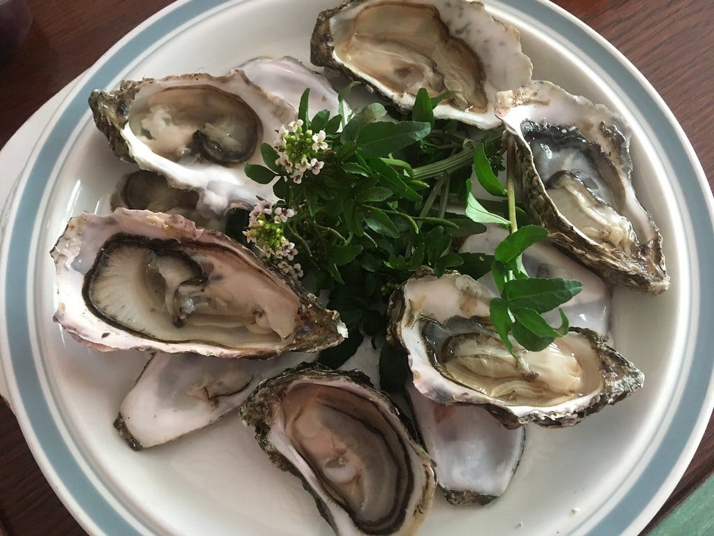 Portuguese Oysters - by Carolyn Tillie - Culinary Crowley