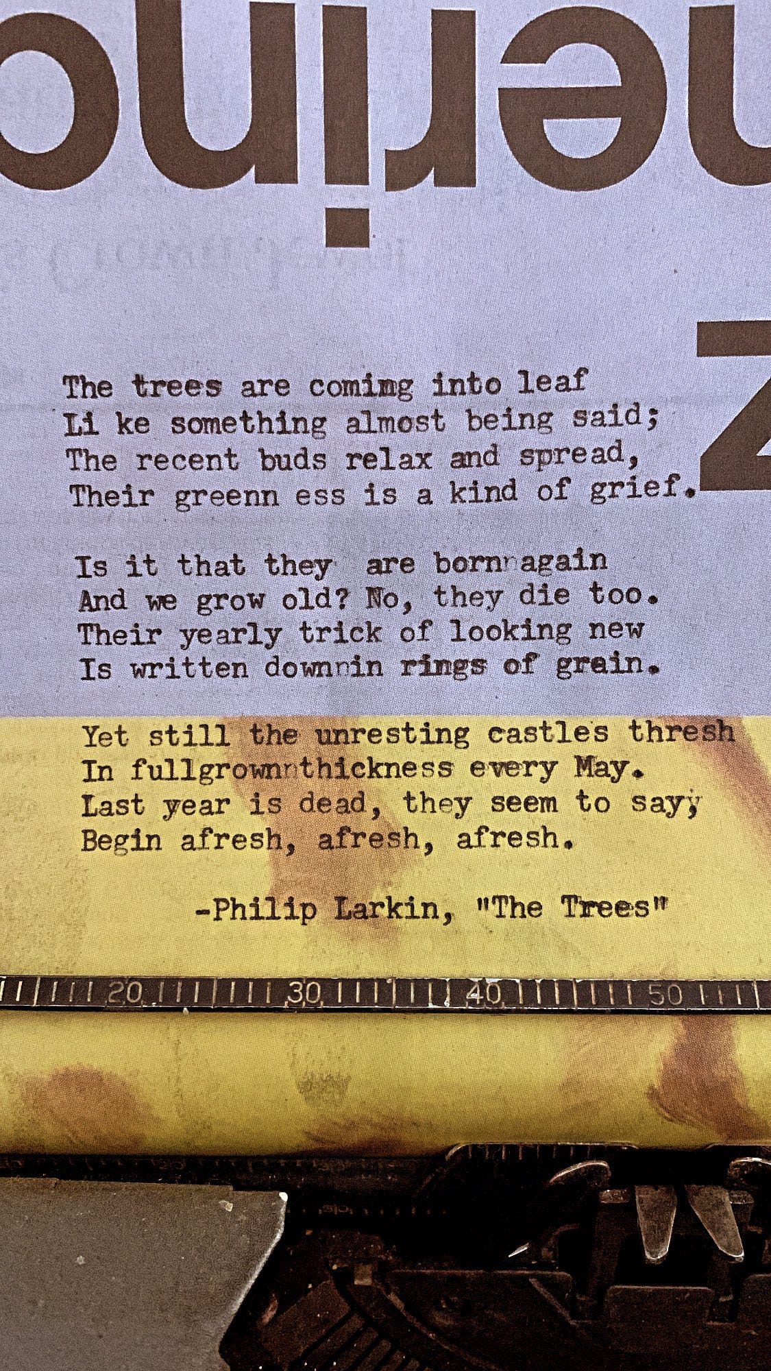 A spring bouquet - Austin Kleon