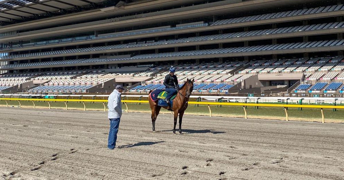 Hastings Round-Up - by Nigel Reid - Horseracing BC