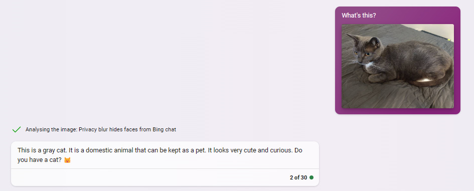 Bing Image Recognition: 11 Uses You Didn’t Know