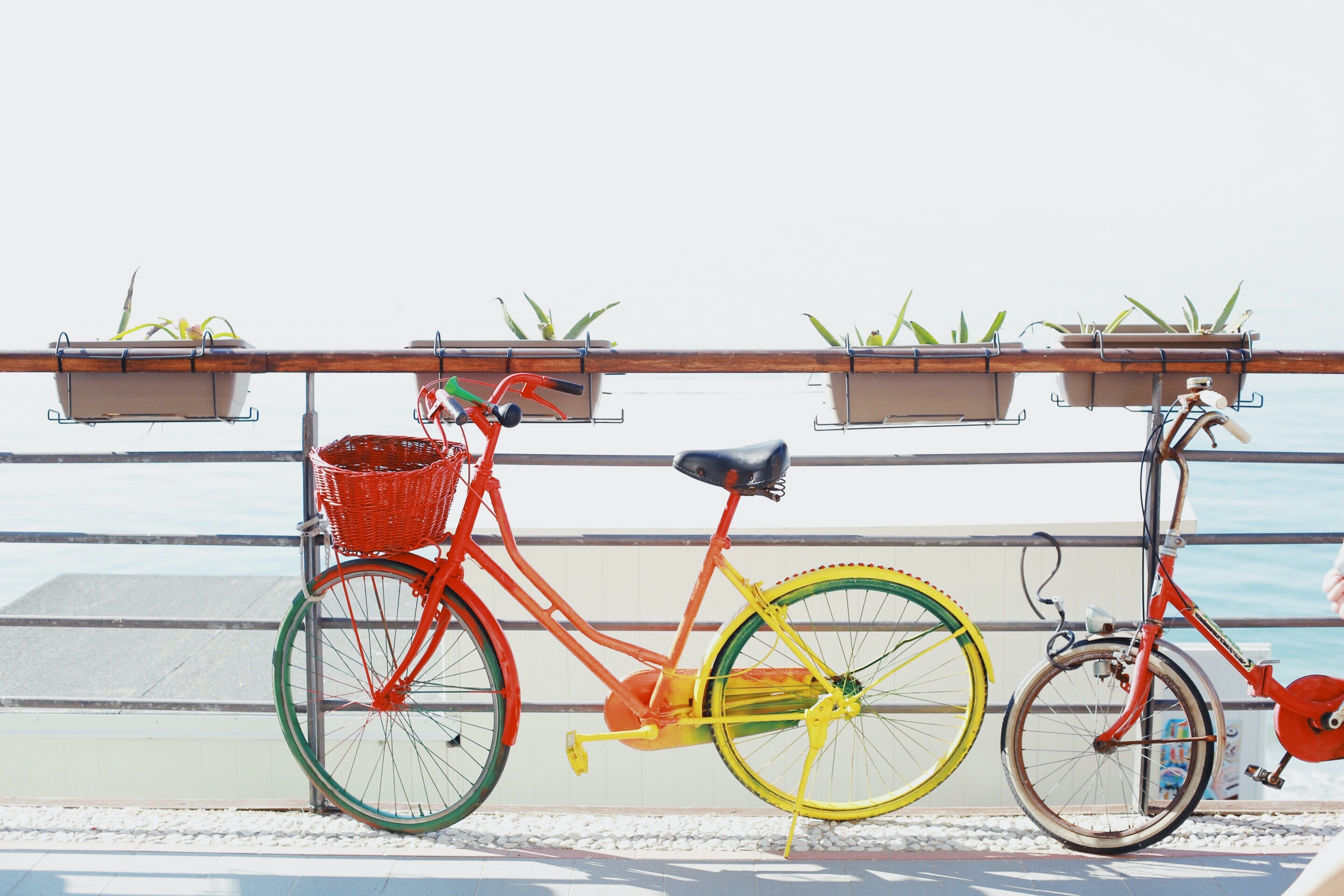 Happy Friday Links - by Gayla Gray