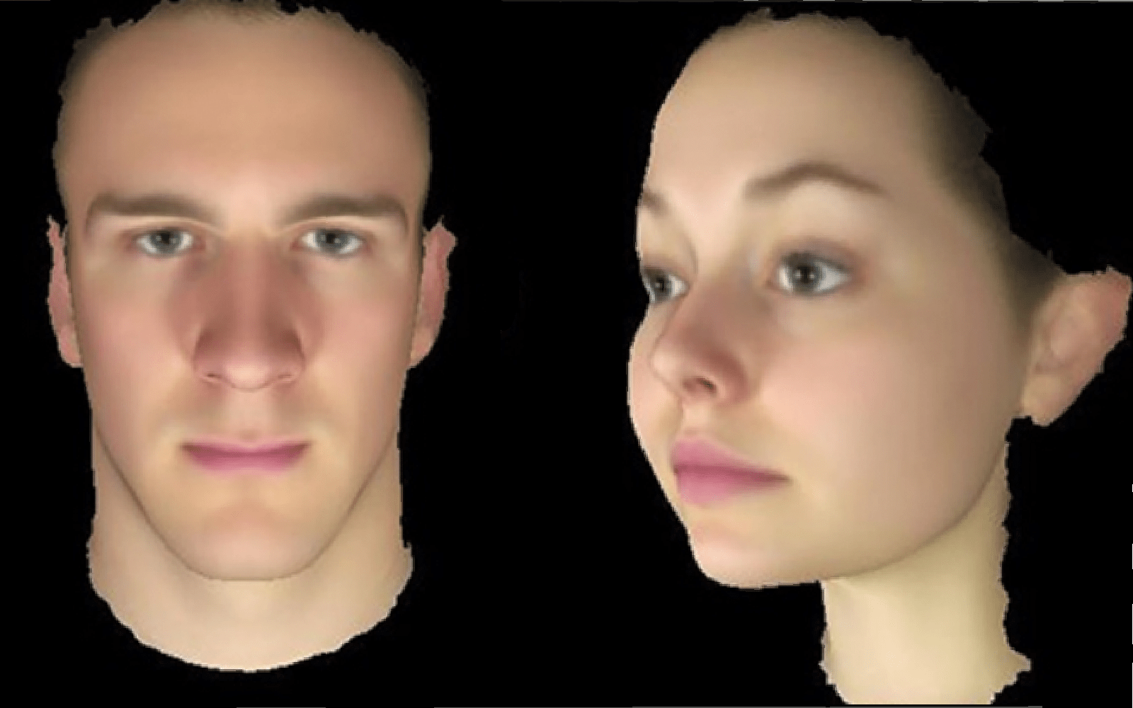 Gigachads not so hot in attractiveness study
