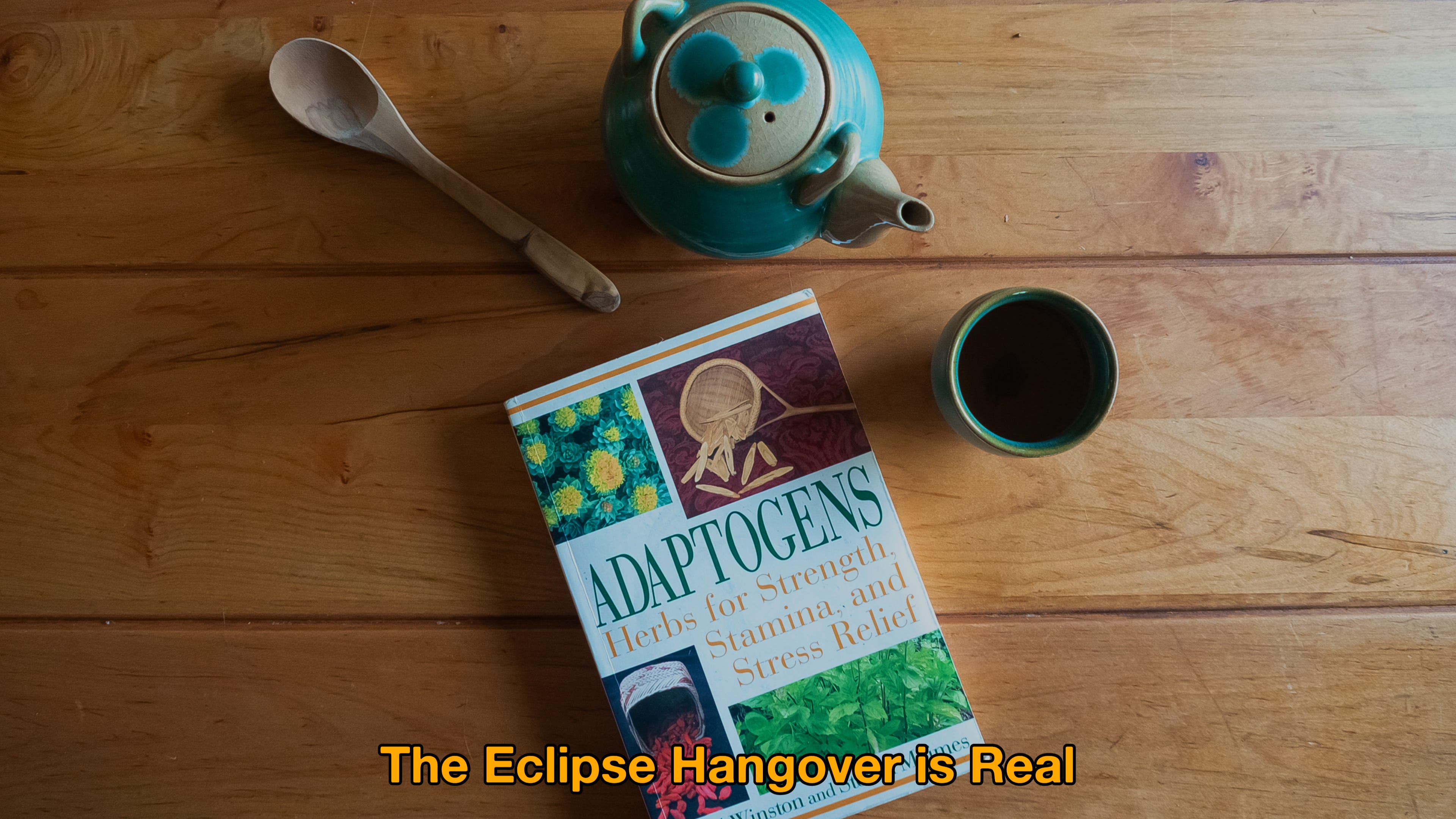 Rooted in the Stars: Your Holistic Astro-Herbal Toolkit for Eclipse Season