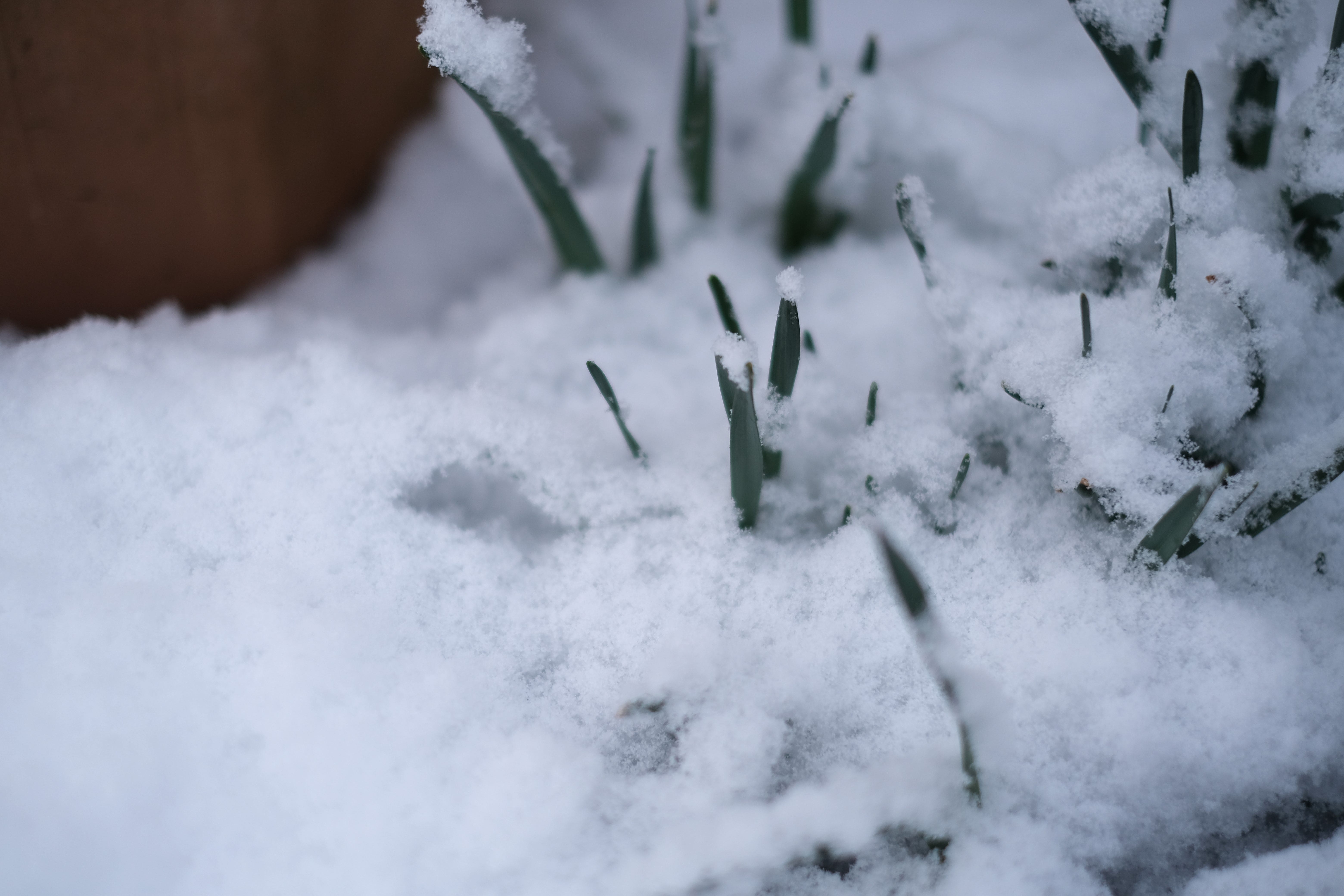 Snow season, slow season - by Charlene Storey