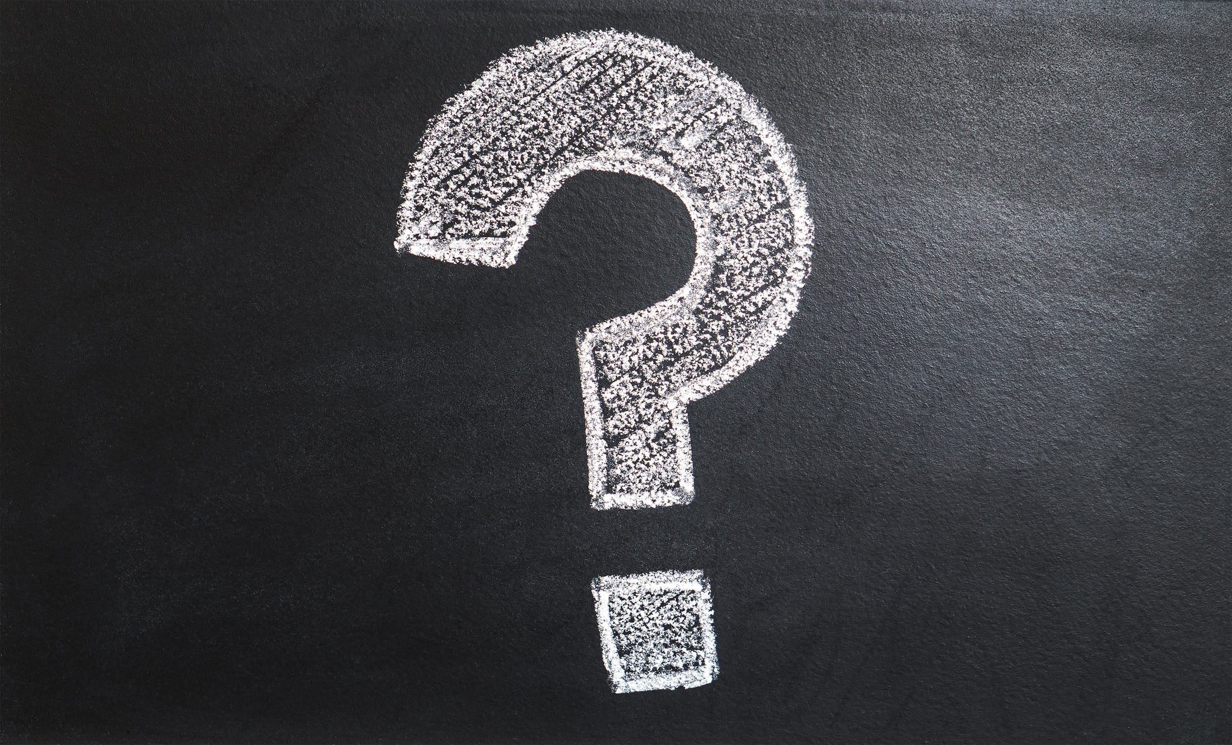 What do detransitioners need?