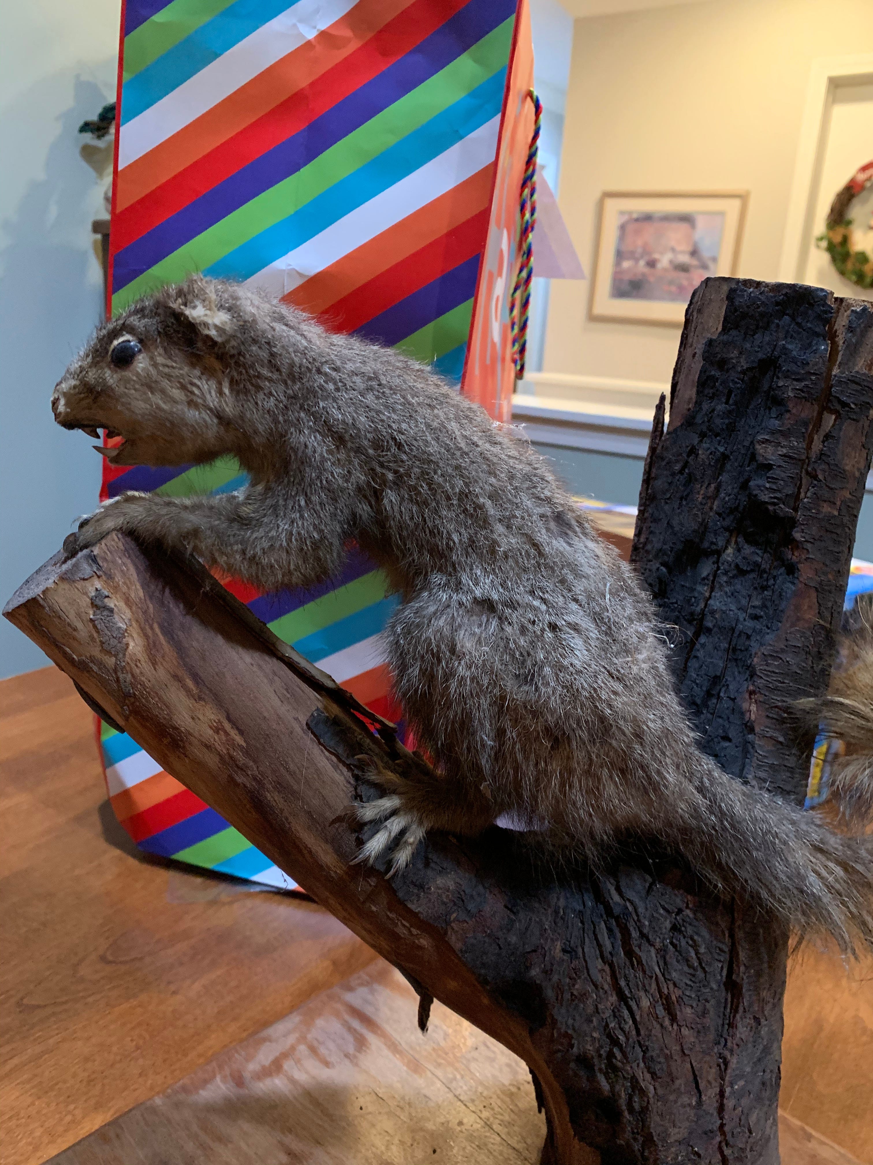 your caption here (below) - by Doug Stanton