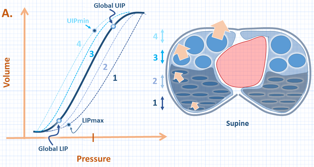ICU Physiology in 1000 Words: The Respiratory System Pressure-Volume Curve