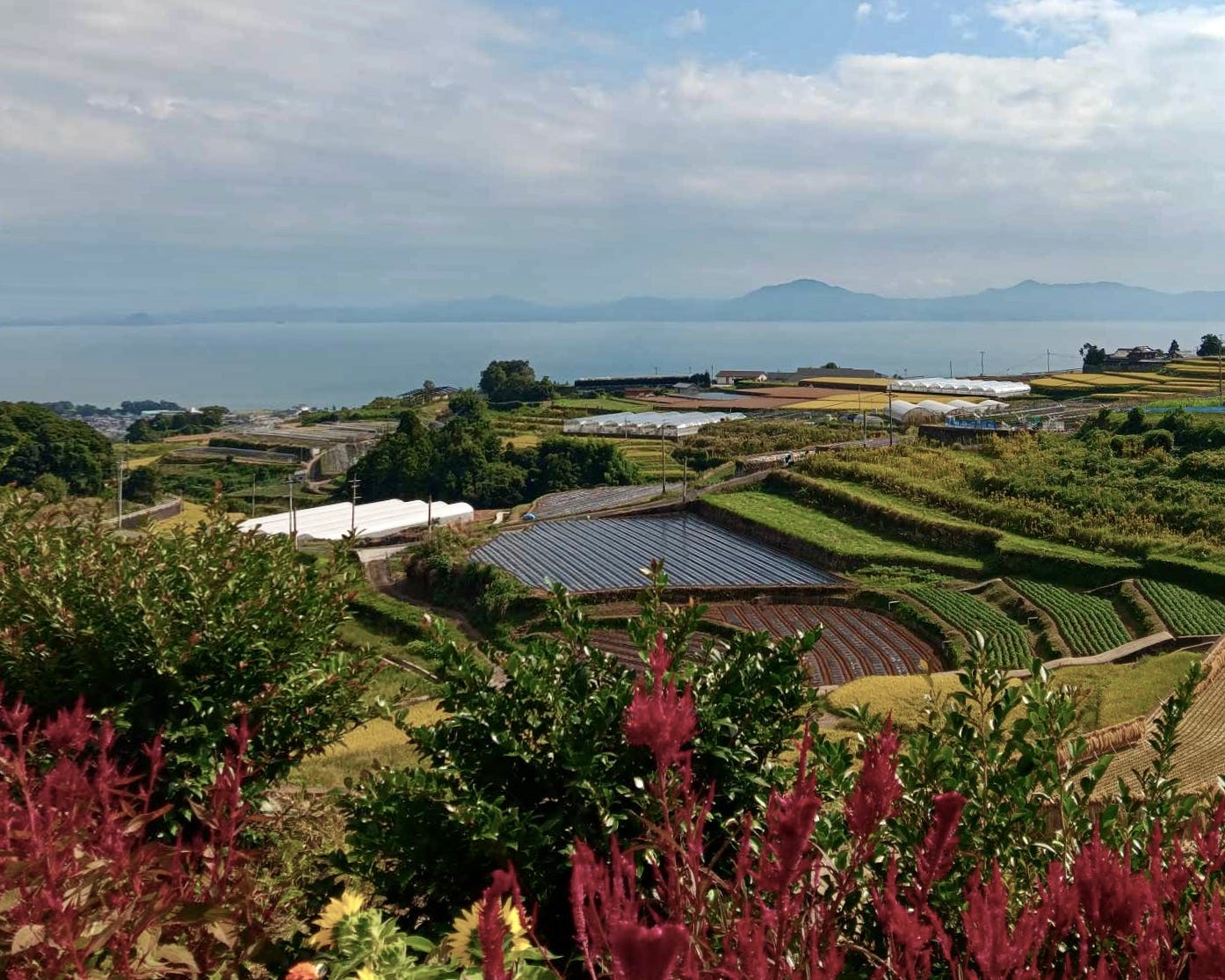 St. Mary Kannon of Hara Castle - Roseanne T. Sullivan