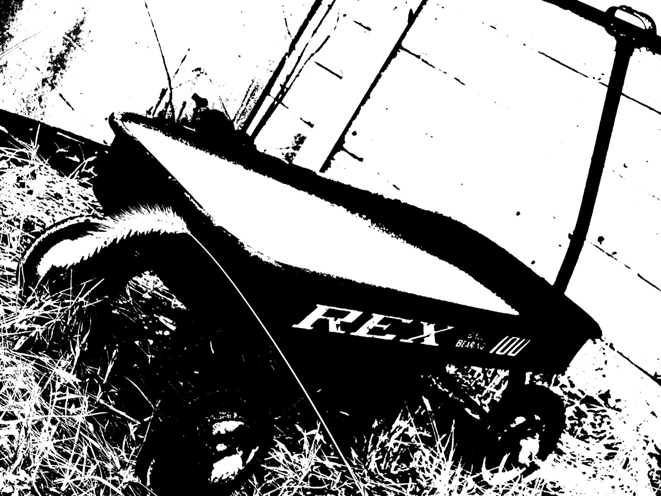 your dream - by j.e. moyer, LPC