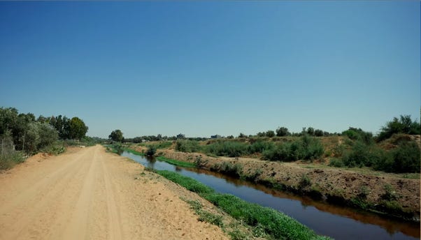 The little known beauty of Gaza, which had just started its first ...