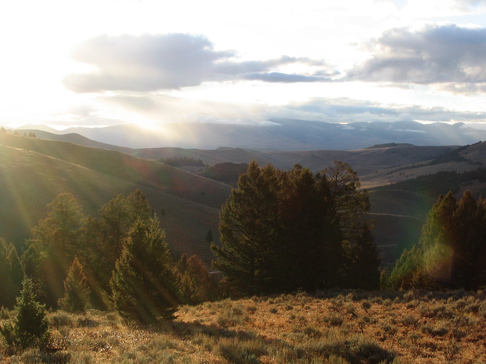 Synthetic Center and Periphery