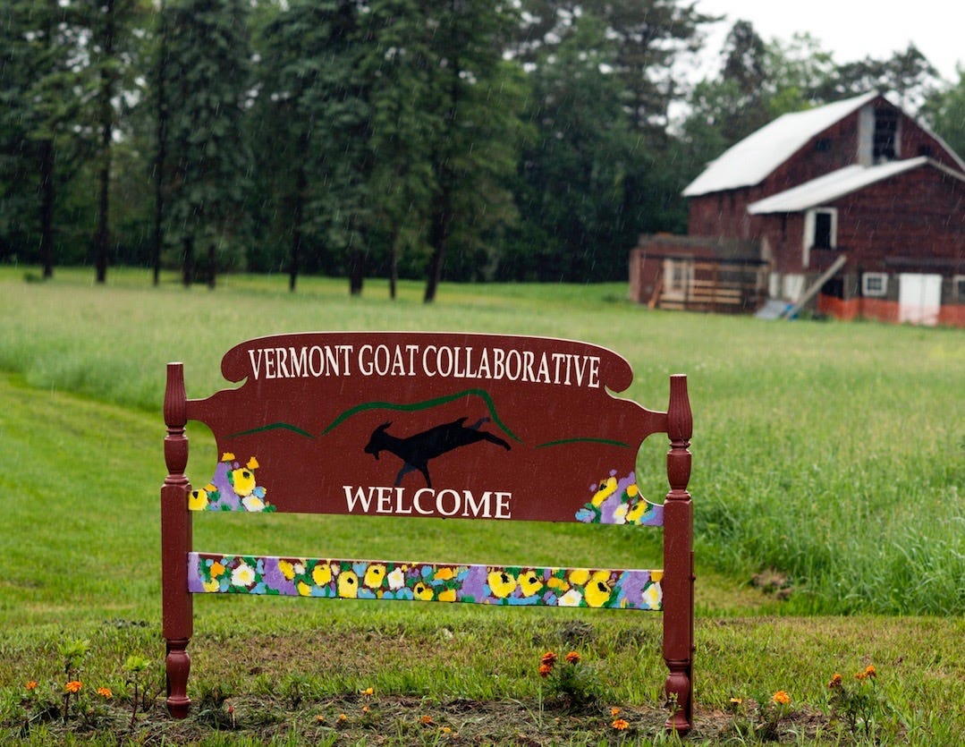 Getting your Goat: the Next New Meat?