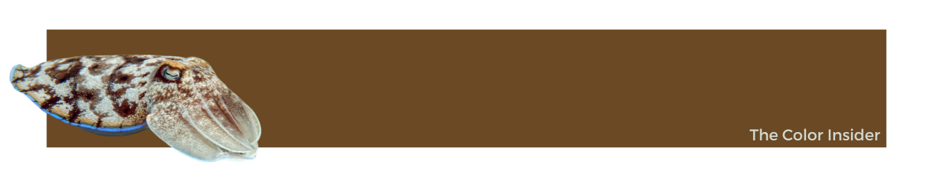 Sepia - Color Insider