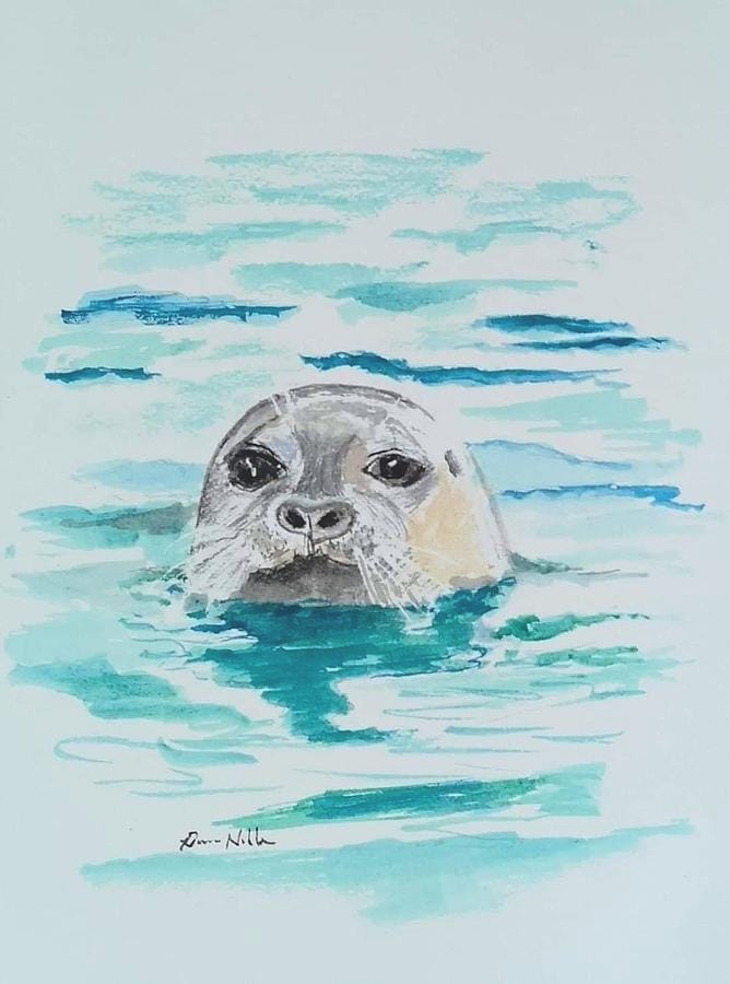 Selkie tales - by Katie Marquette - Born of Wonder