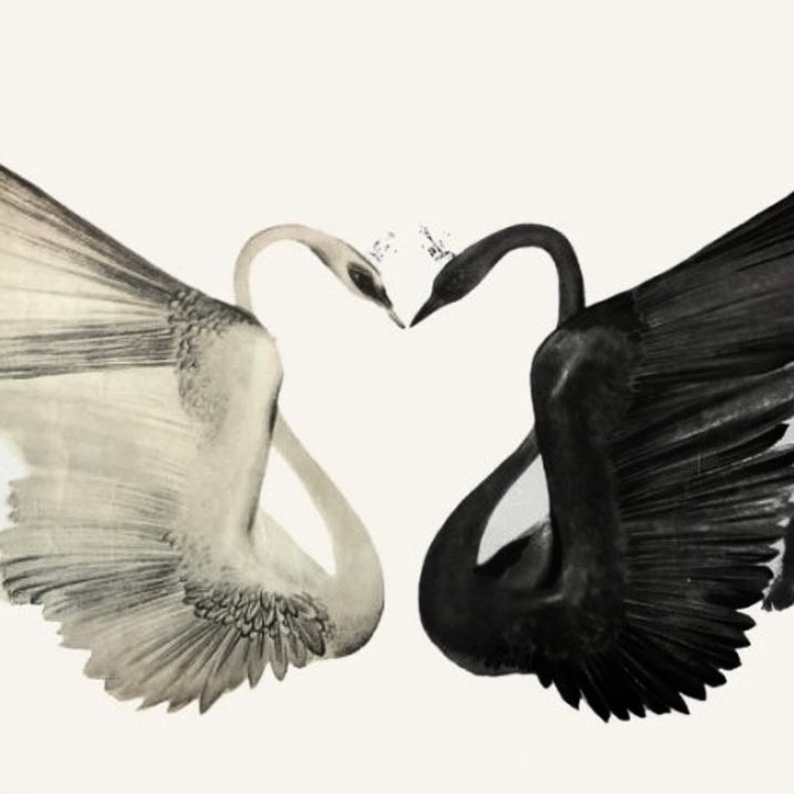 odile pauline | Substack