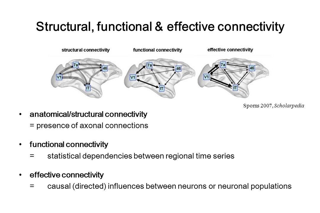 Your Brain on DMT... - by Andrew R. Gallimore Your Brain on DMT ...