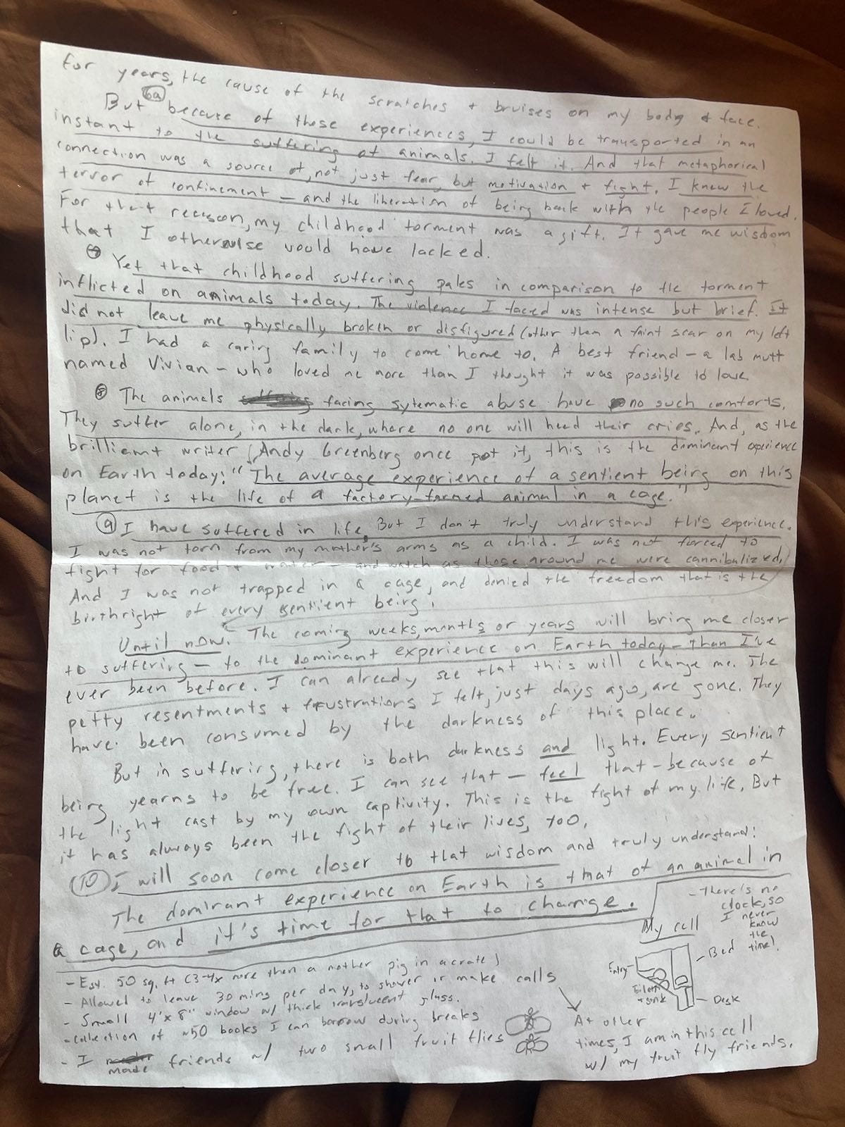 The Transformative Power of Suffering - by Wayne Hsiung