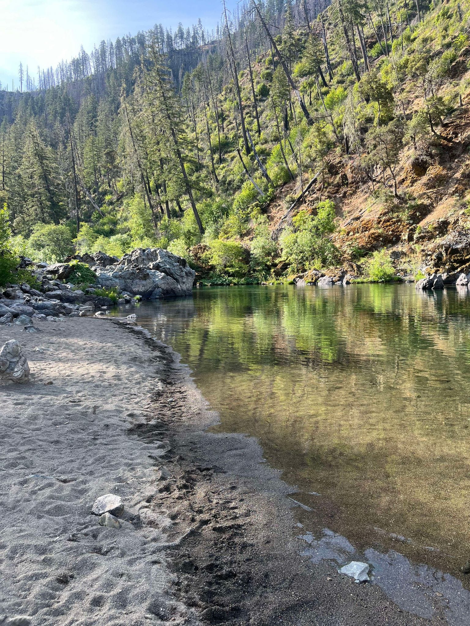 The River - Olea’s Substack