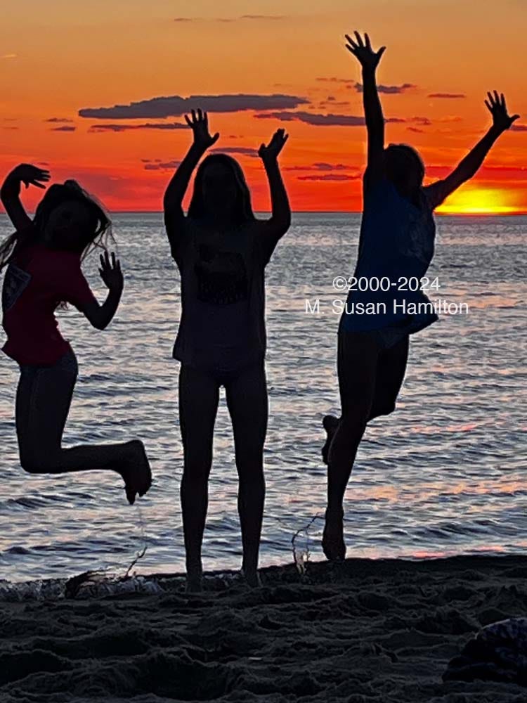 Sensitive G.I.? - CalmGut™ Substack