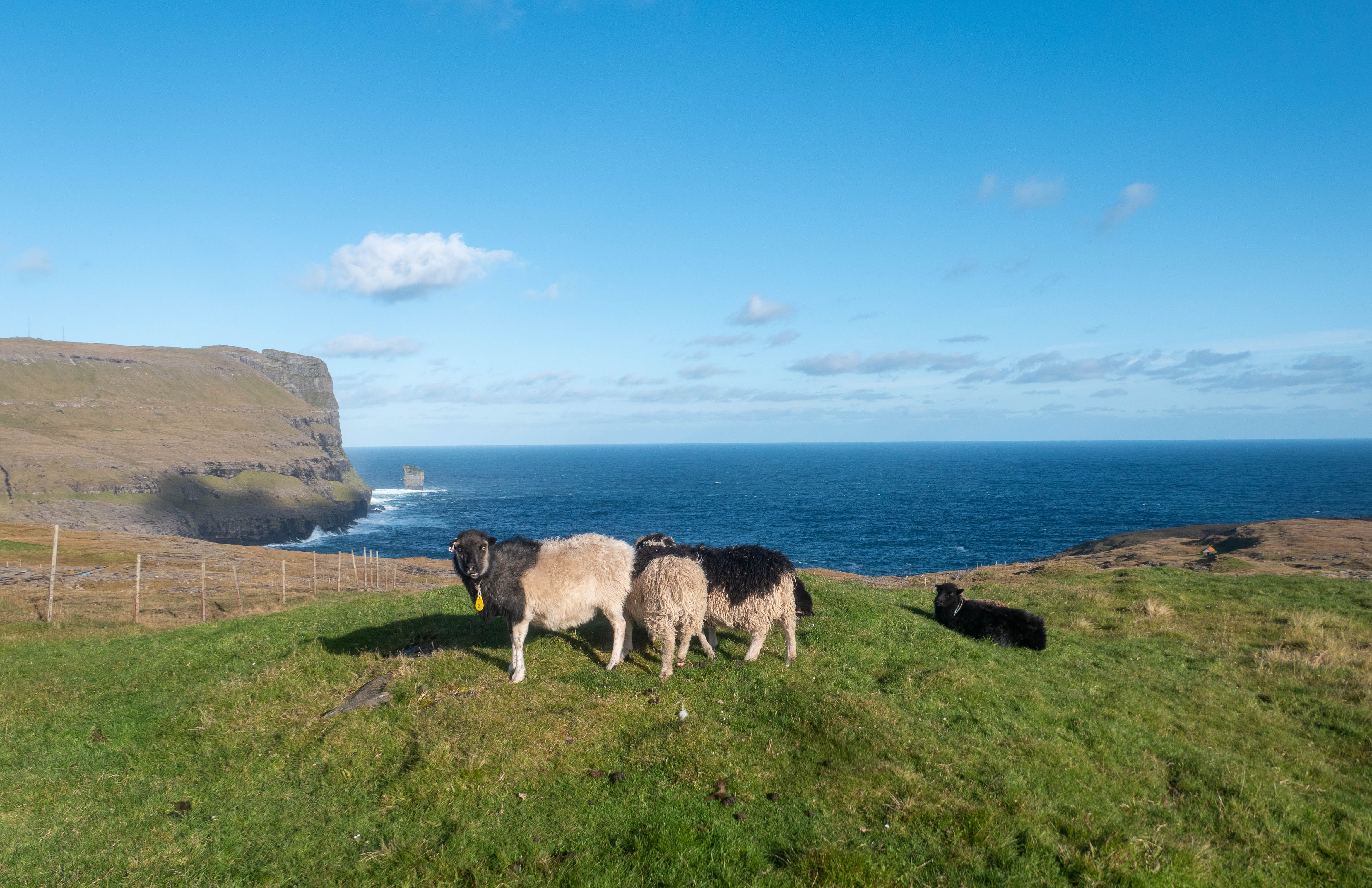 Walking Faroe Islands (part two)