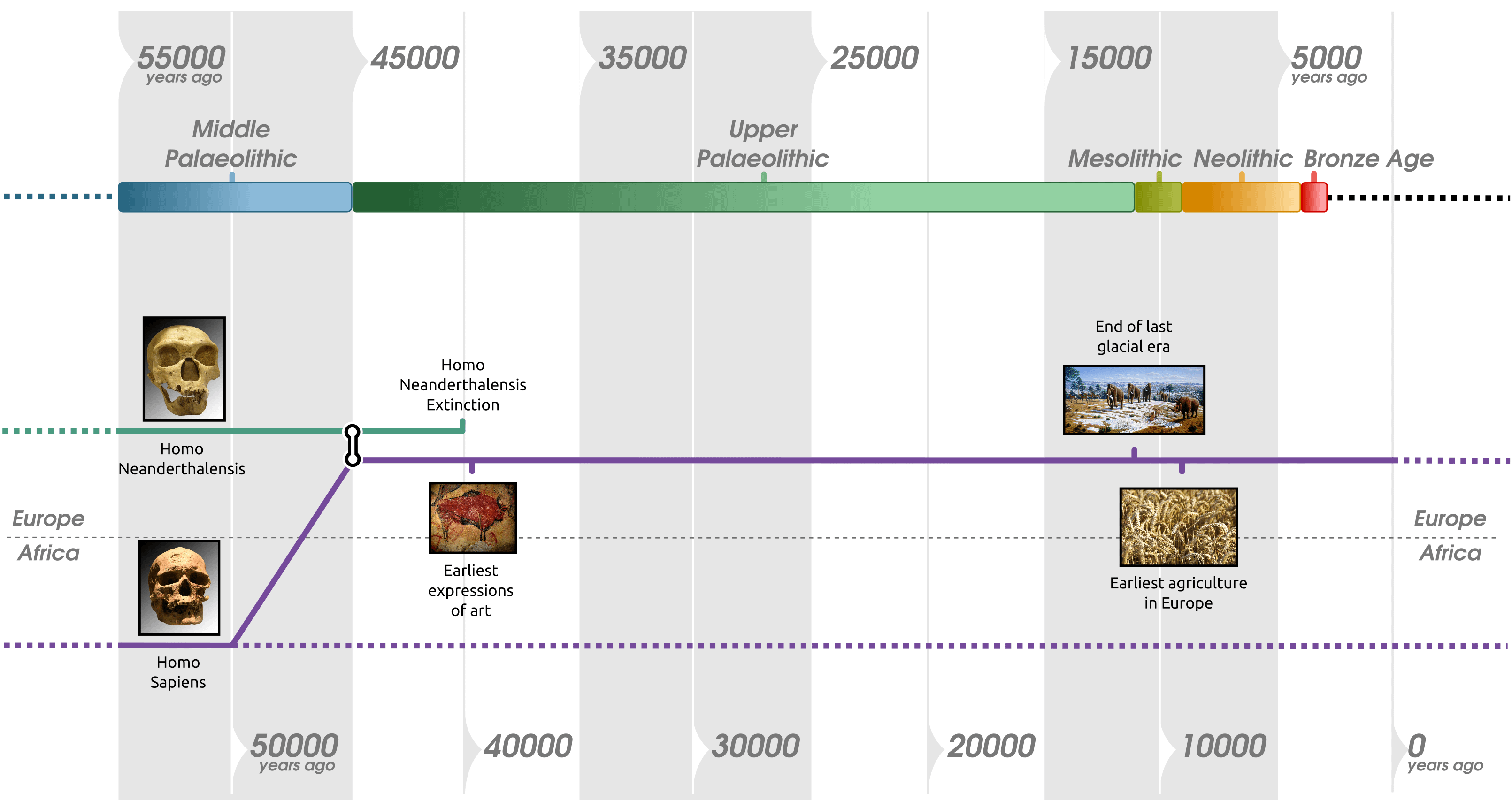 What Did Humans Evolve to Eat? - by Nick Jikomes
