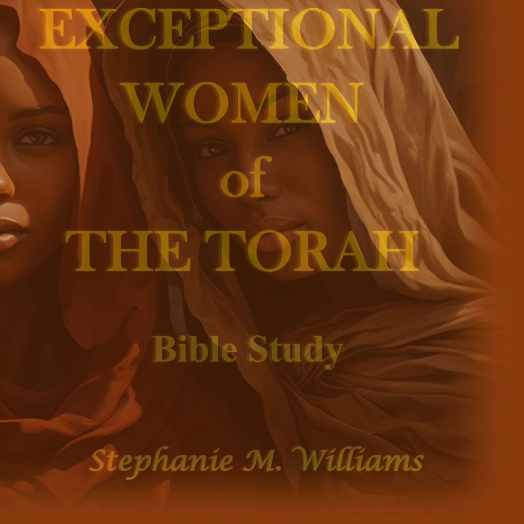 BOOK RELEASE - by Stephanie Williams - Stephanie’s Substack